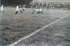 Cas Tigers Heritage Project - Print or Photograph